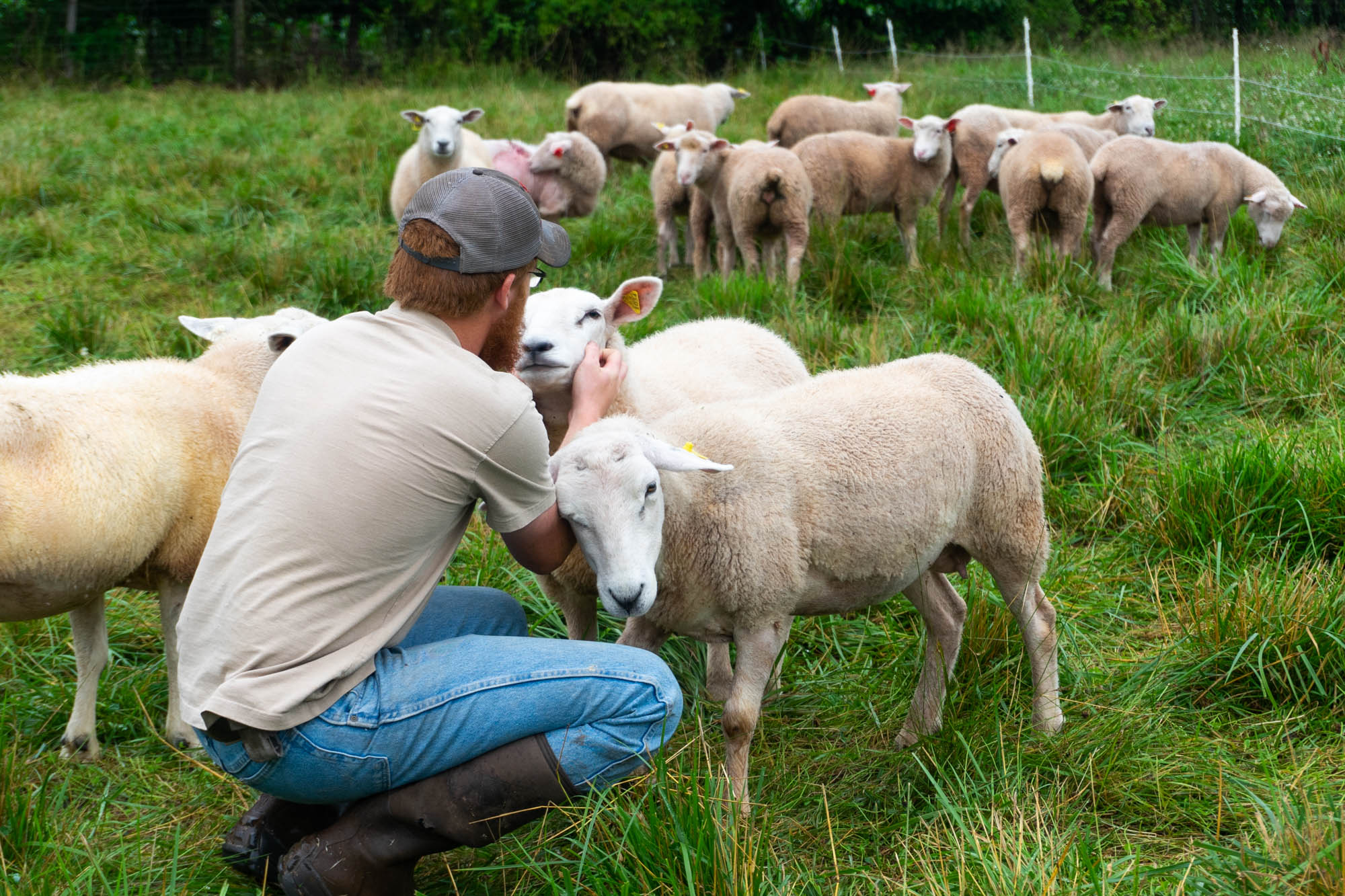 Our Farmers Chapel Ford Farms – Farmer Grade