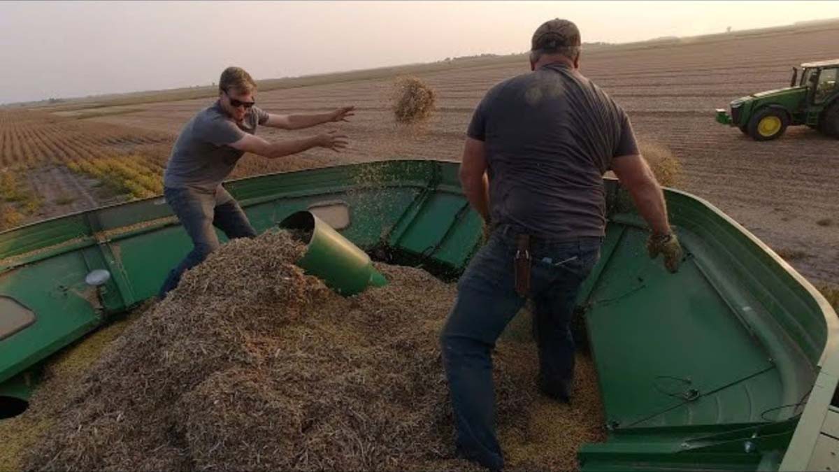 Our Farmers Sonne Farms – Farmer Grade